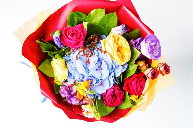 Photo from Above of Bouquet of Multi-colored Roses on Empty White ...