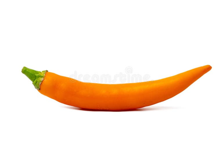 4,652 Amarillo Pardo Stock Photos - Free & Royalty-Free Stock Photos ...