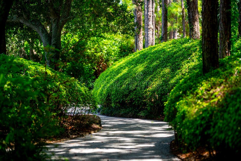 Pedestrian Pathway in the Park Plush Green Landscape Stock Image ...