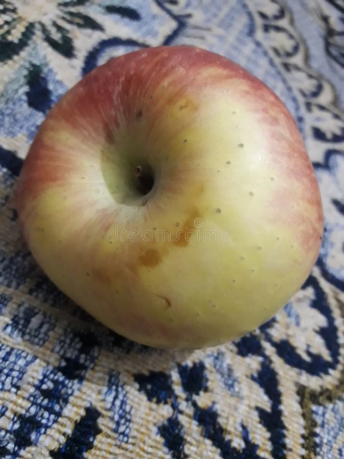 This is the Photo of Apple Fruit Stock Photo - Image of apple, pieces ...