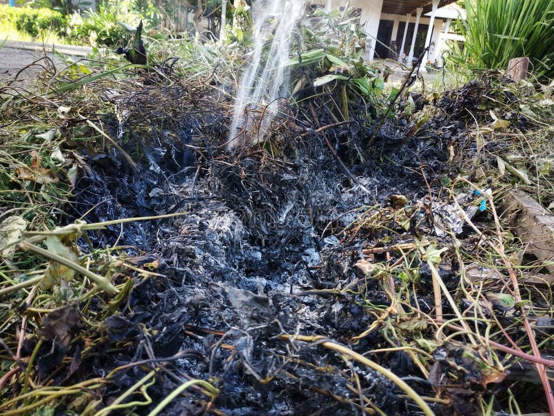 Photo of Ash from Burning Trash and Weeds Stock Image - Image of weeds ...