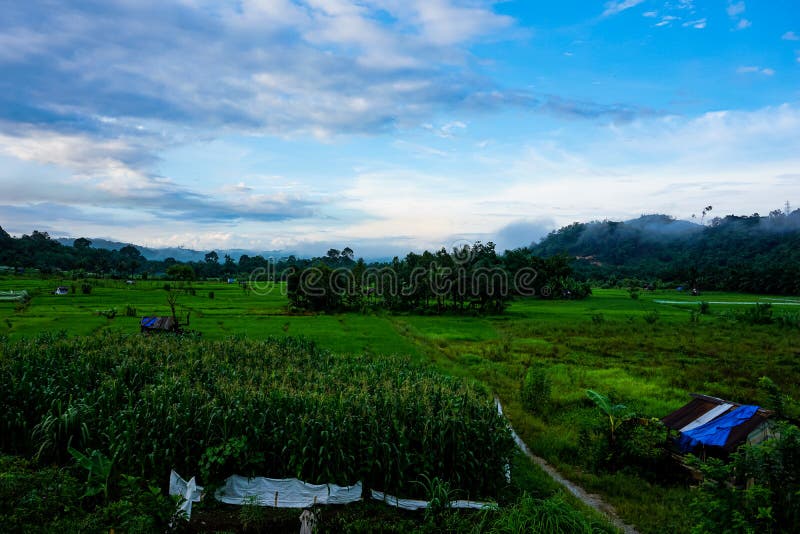 Photo of the Atmosphere of a Farmland Stock Photo - Image of europa ...