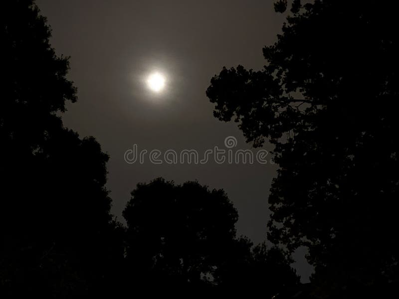 August Super Moon at Night in the Neighborhood Stock Photo - Image of ...