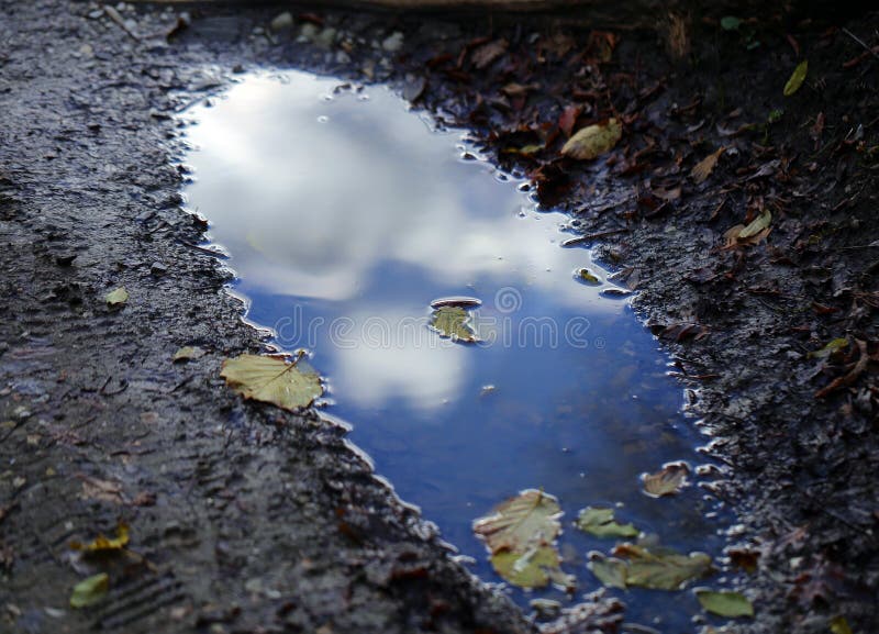 916 Concrete Puddle Texture Stock Photos - Free & Royalty-Free Stock ...