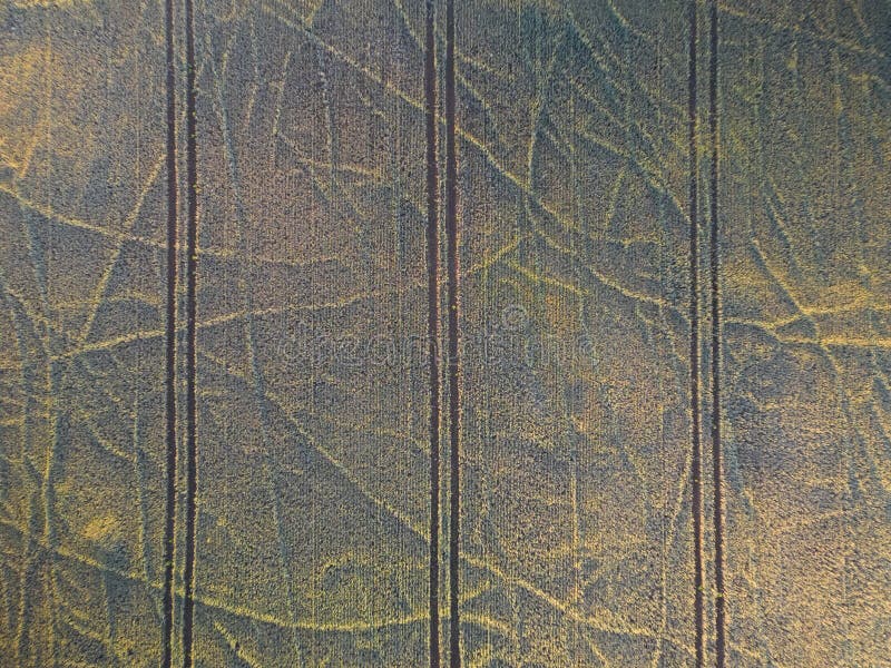 Photo Background Texture, Farm Field with Tractor Marks, Photo View ...