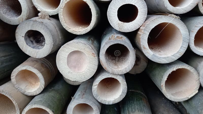 Photo of Bamboo Pieces Stacked Up. Stock Image - Image of produce ...