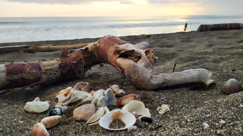 Photo at the beatch stock image. Image of wave, ocean - 196011893