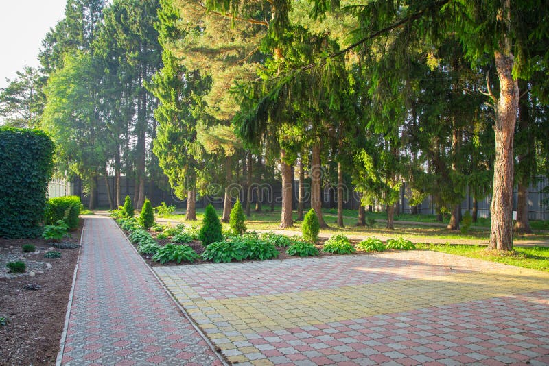 Image of the Beautiful Backyard among Trees Stock Image - Image of ...