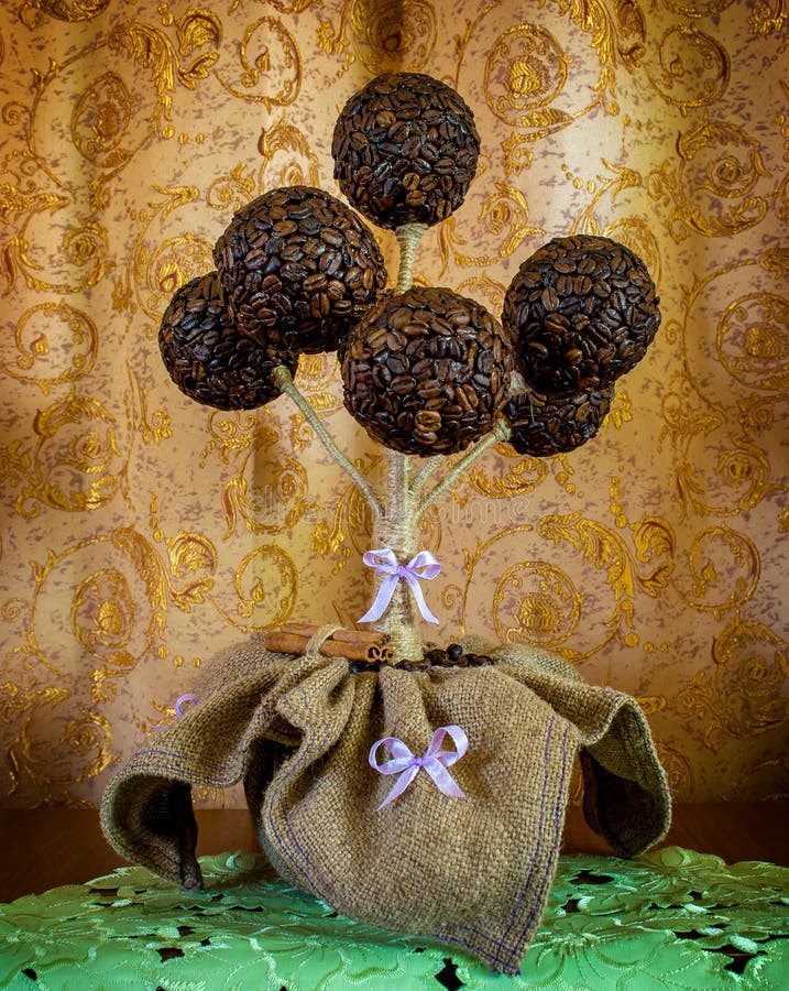 134 Coffee Bonsai Tree Stock Photos - Free & Royalty-Free Stock Photos ...