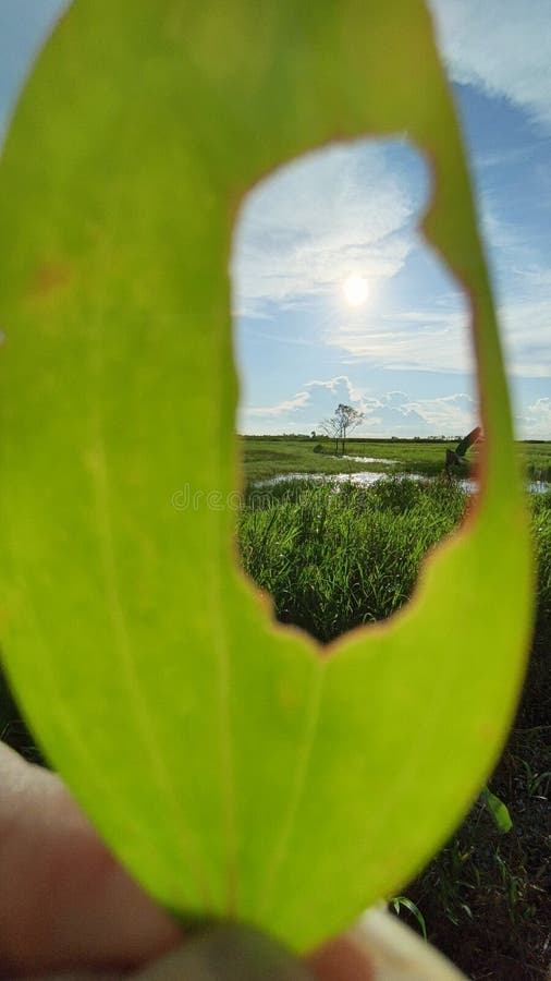 Beautiful Hollow in the Green Mountains Stock Image - Image of sand ...