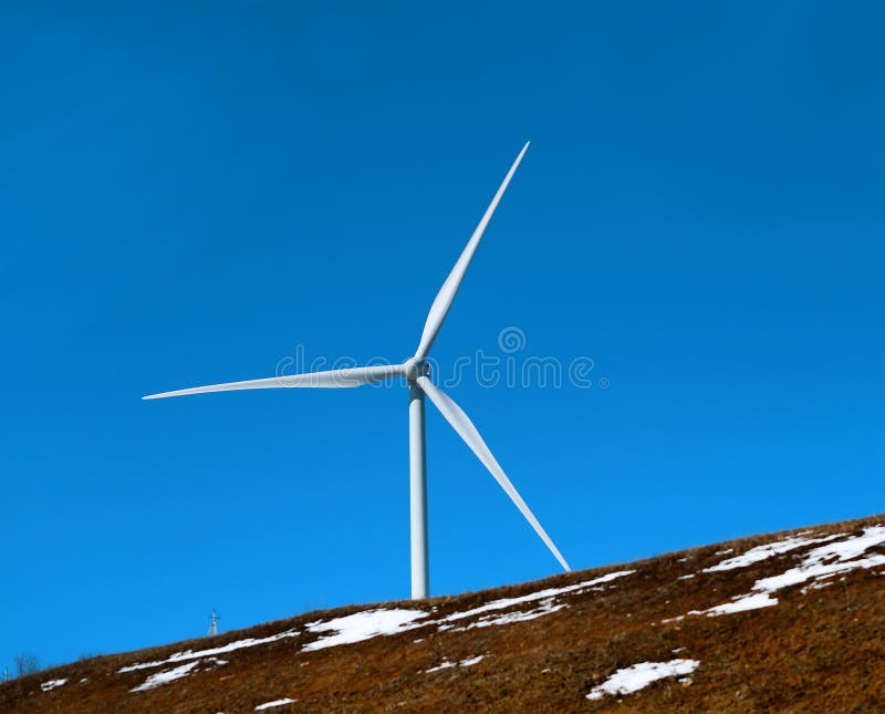 Beautiful Windmill with a Green Roof on a Meadow Near the Forest Stock ...