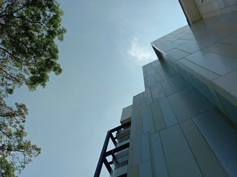Photo from Below Building Corner and Blue Sky and Branches of the Trees ...