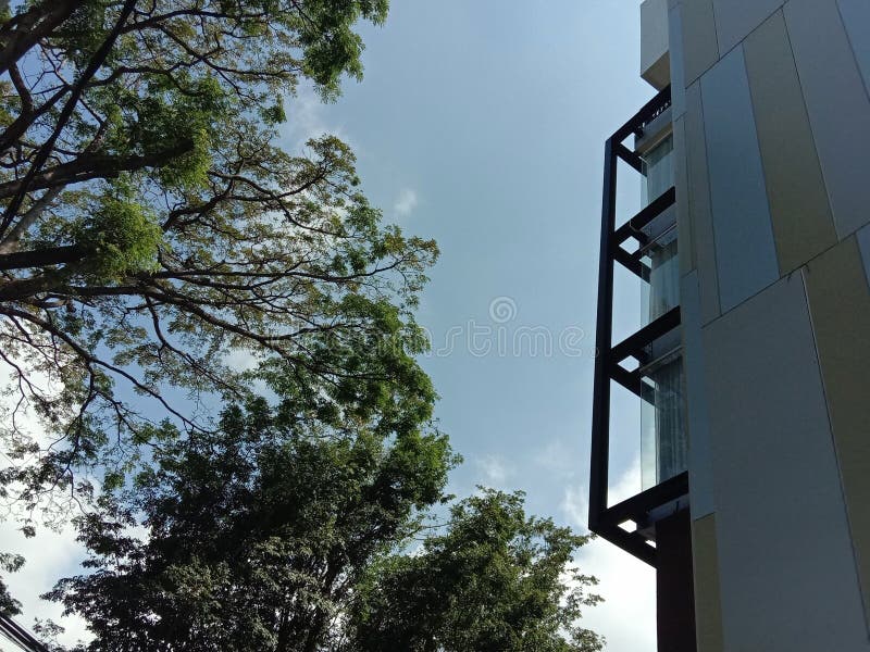 Photo from Below Building Corner and Branches of the Tree and Blue Sky ...