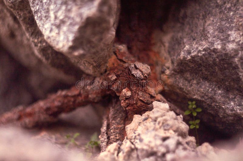 Photo of Reinforcement Destroyed by Rust Stock Photo - Image of ...
