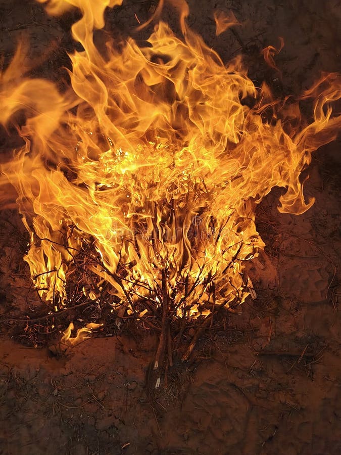 Photo of a Bright Fire Flame, To Decorate Your Designs in the Style of ...