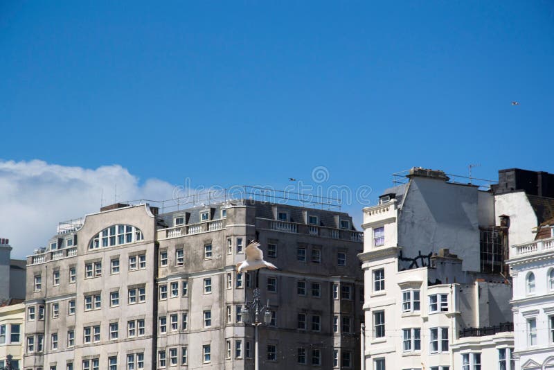 Brighton stock image. Image of beach, metal, sign, landscape - 98742053