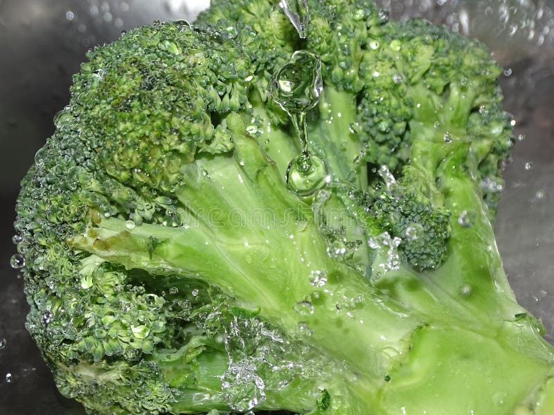 Broccoli washing stock image. Image of wash, brassica - 108115045
