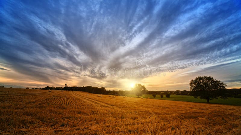 Field During Sunrise Picture. Image: 82997558