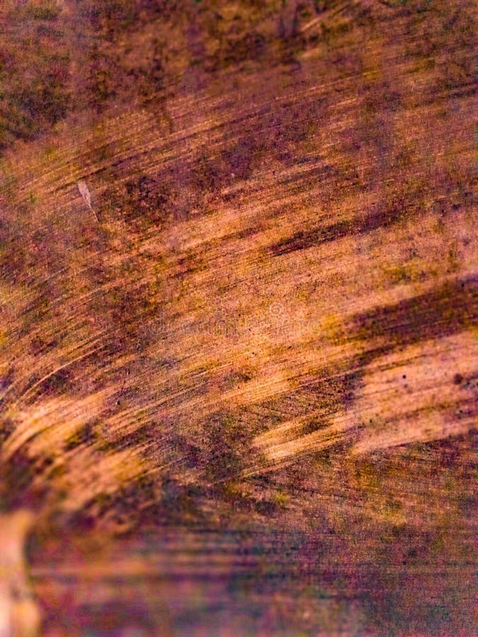 Photo of Brown Scratches on the Wall Stock Photo - Image of plant, tree ...