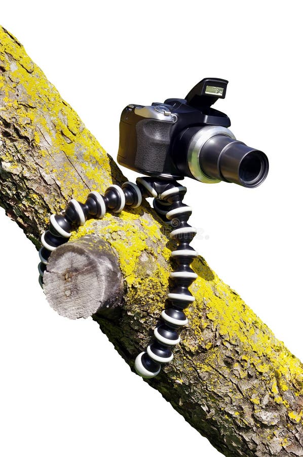 Photo camera on a tree stock image. Image of instrument - 94465583