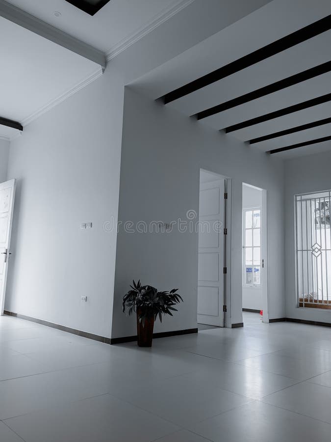 This Photo Captures a Clean and Minimalistic Interior Space with a ...