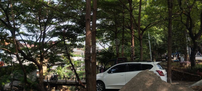 Photo of a Car Under a Tree Stock Photo - Image of forest, tree: 297663580