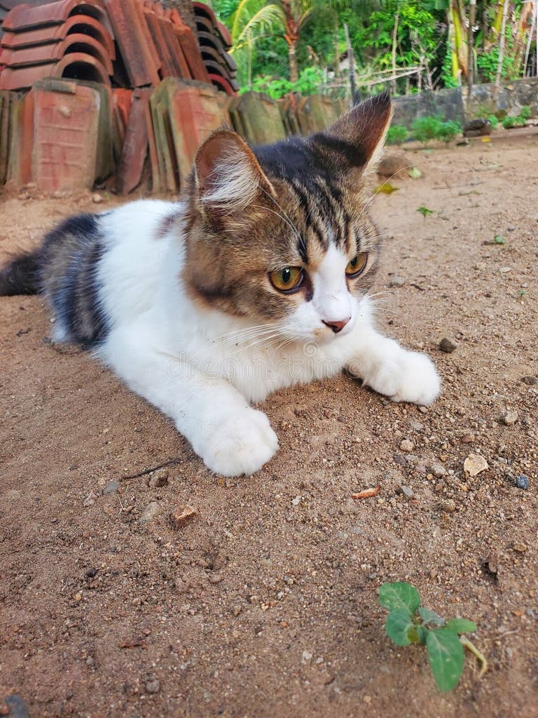 190,195 Good Photo Phrame Stock Photos - Free & Royalty-Free Stock ...