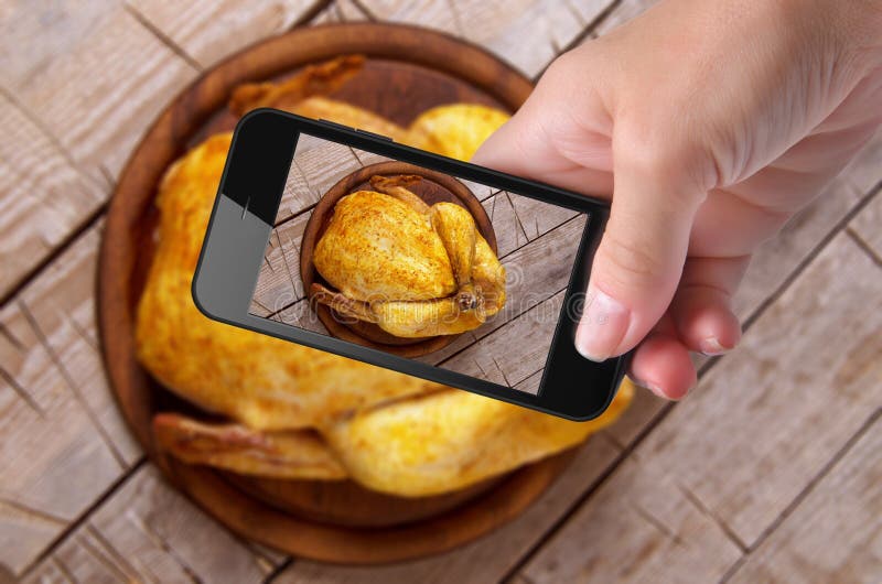 Photo chicken stock photo. Image of closeup, poult, farmer - 43636598