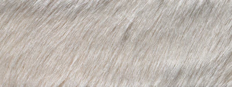 Close Up Photo of Gray Fur Texture Background Stock Photo - Image of ...