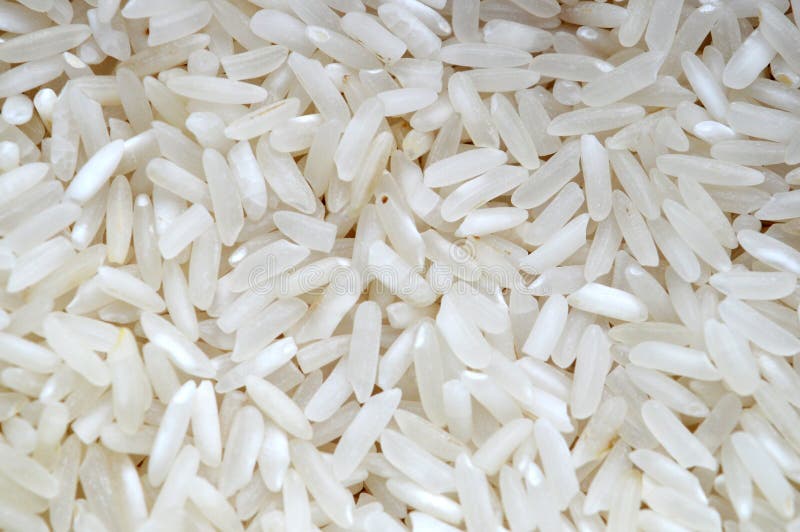 A Photo of Close-up of a Rice Stock Photo - Image of texture, healthy ...