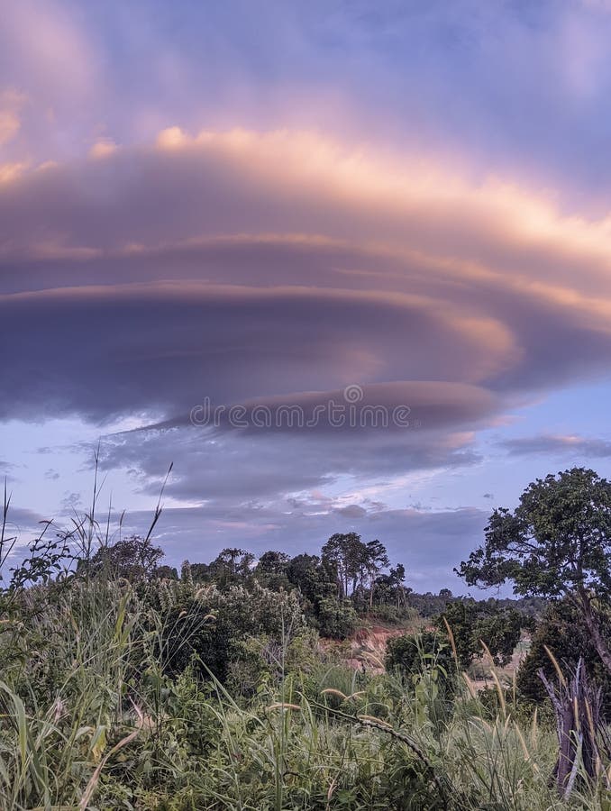 Photo of Clouds and Sky in the Afternoon Towards Evening, and Trees ...
