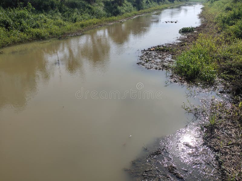 Photo of Cloudy River Water Stock Photo - Image of reed, blades: 225146604