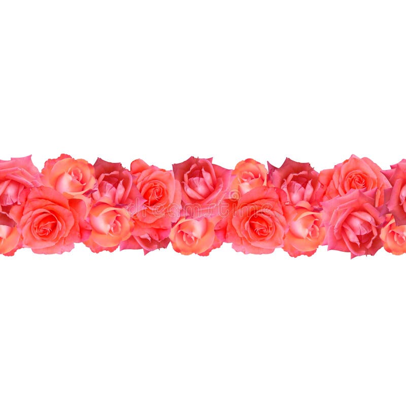 Photo Collage Seamless Borders with Red Roses. Stock Photo ...