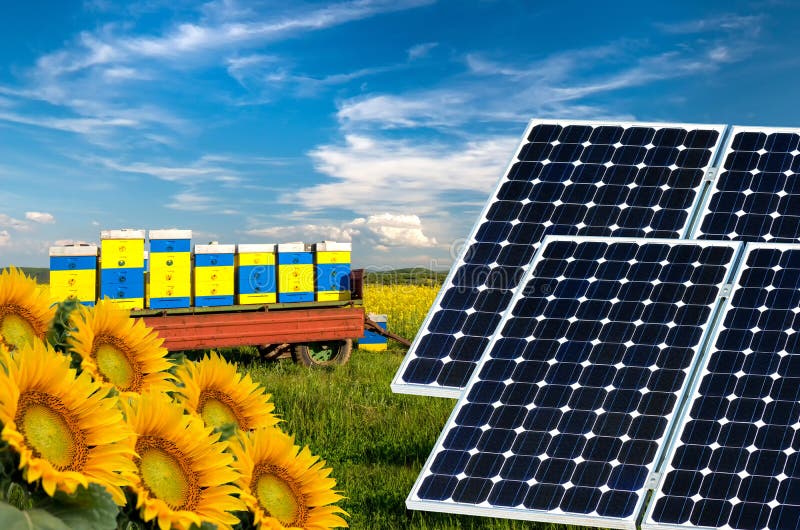 Sunflowers Solar Panels Collage Stock Photos - Free & Royalty-Free ...