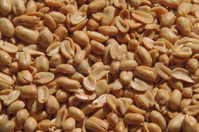 Photo of a Collection of Fried Peanuts. Stock Photo - Image of pile ...