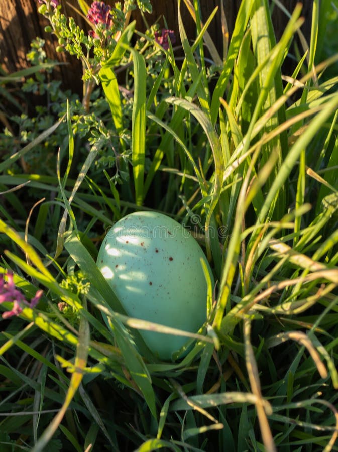 Close-up Oa Close-up Image Showcasing a Dropper Releasing a Droplet of ...
