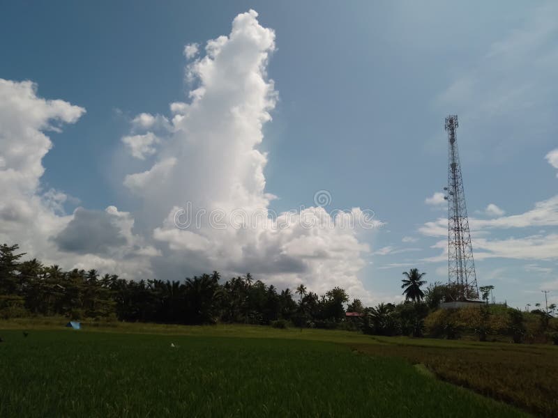 This is a Photo of a Communication Network Tower Stock Photo - Image of ...