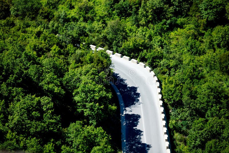 Photo of the Cool Road Surrounded by Green Trees on the Nature B Stock ...