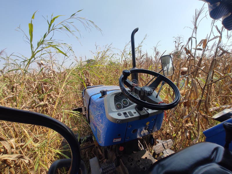 A Photo of Corn Field Taken by Tractor Driver, View of Corn Field from ...