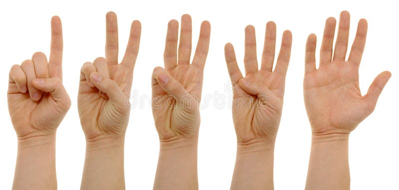 Hand Counting stock photo. Image of counting, palm, five - 6017148