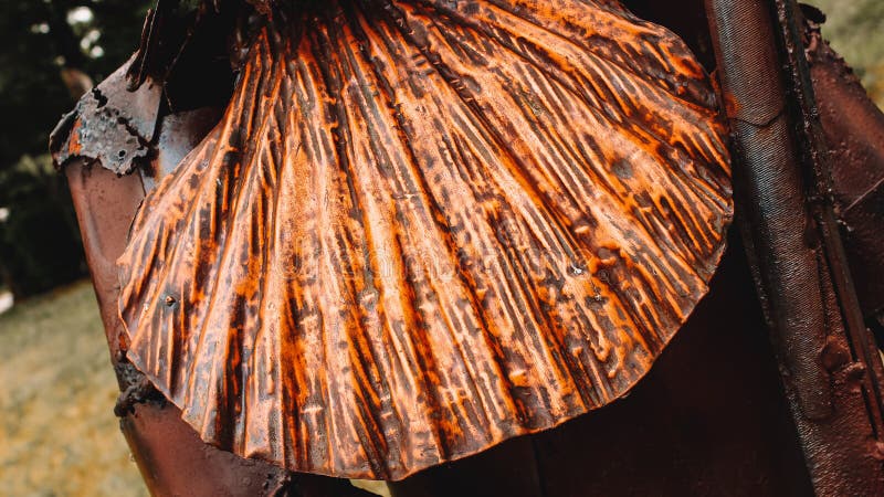 Close-Up of a Decorative Copper Shell with Intricate Patterns Metallic ...