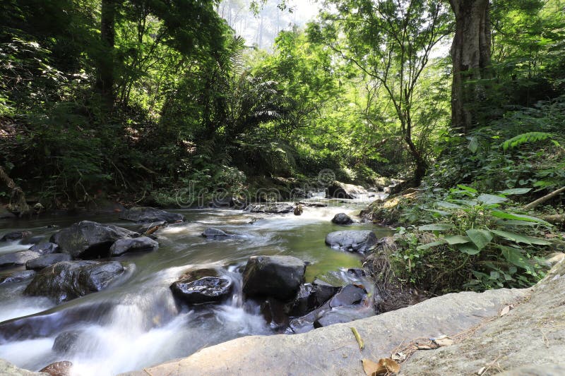 A cool river flow stock photo. Image of forest, river - 327748906