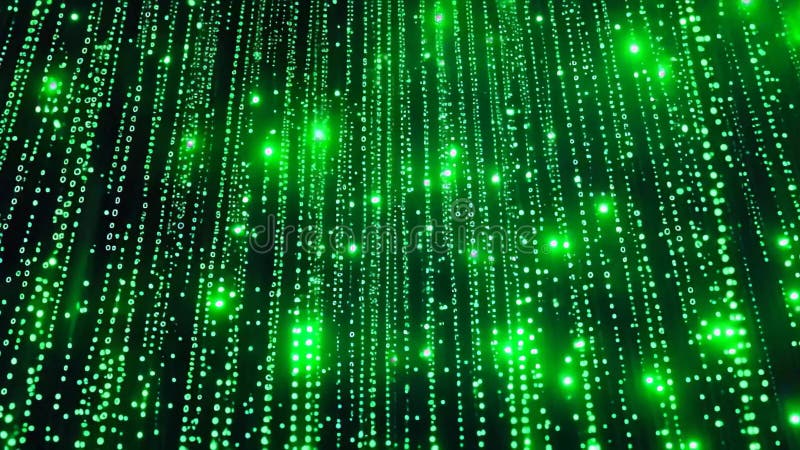 A Black and White Shark Swims among Coral Reefs in an Aquarium, a Shark ...