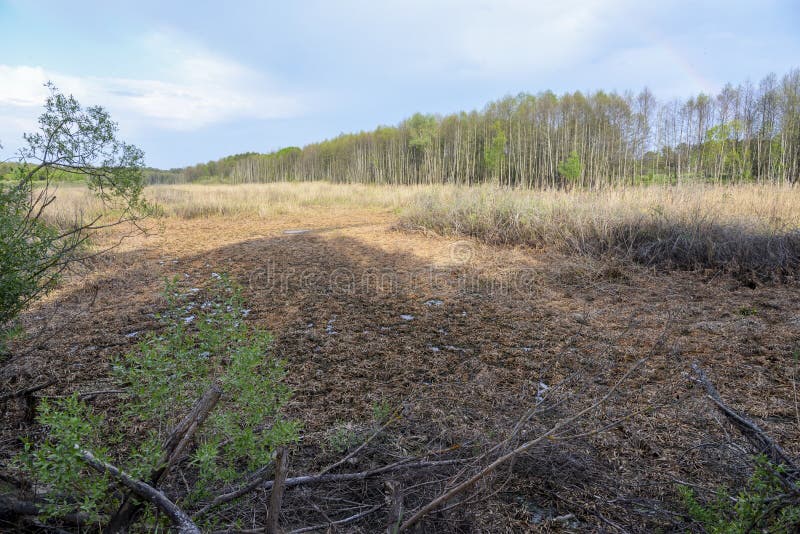 Photo Dried Lake, the Theme of Global Warming and Environmental ...