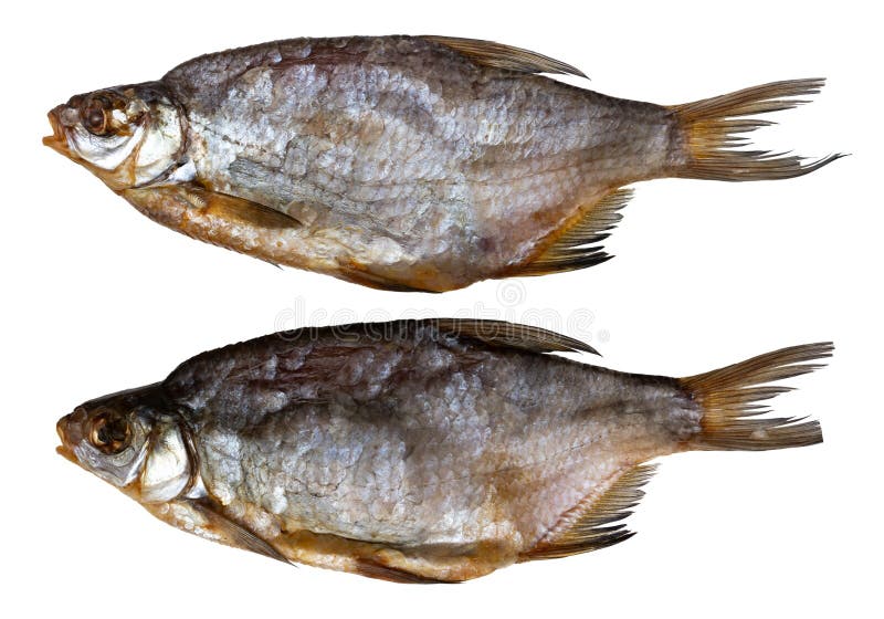 A Photo of Dried Roach Fish Isolated on a White Background. Salted Fish ...
