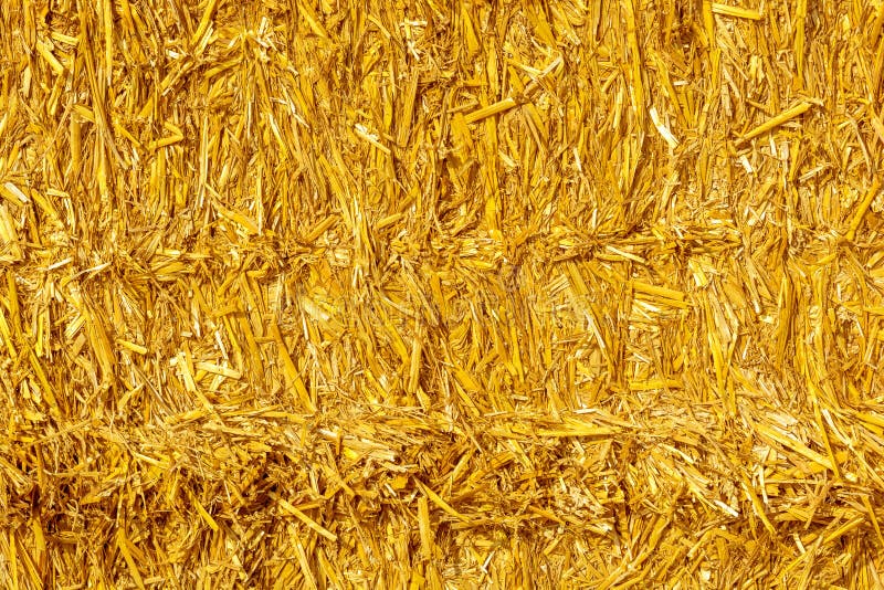 Photo of Dry Yellow Straw Texture at Summer Day Stock Image - Image of ...