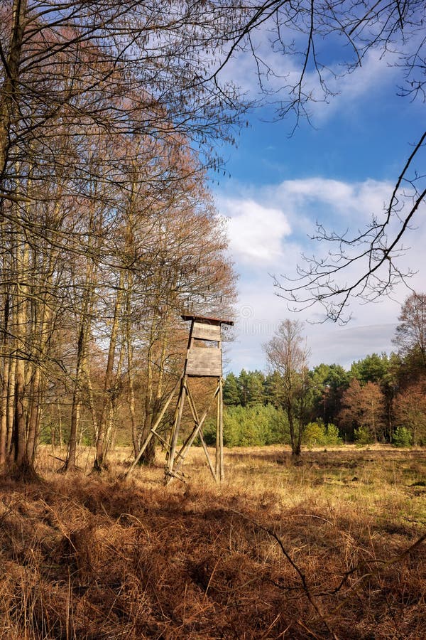 Photo of an Elevated Deer Hunting Blind by the Woods Stock Image ...