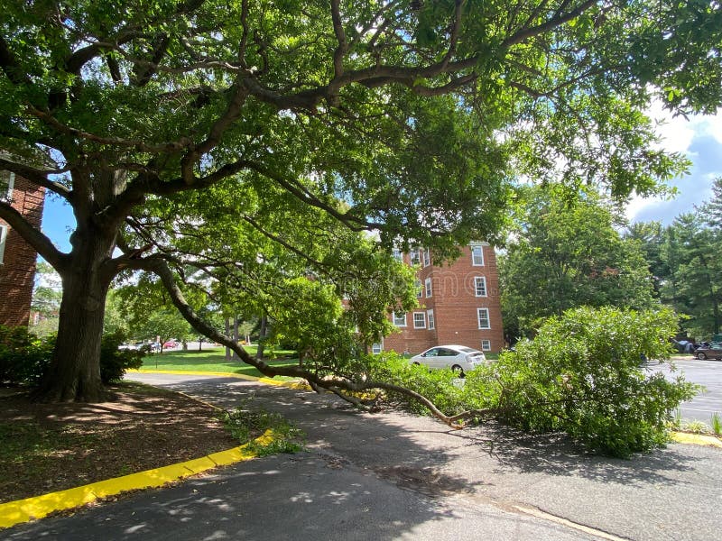 Richard Gunion (Shootalot) - Photographer profile