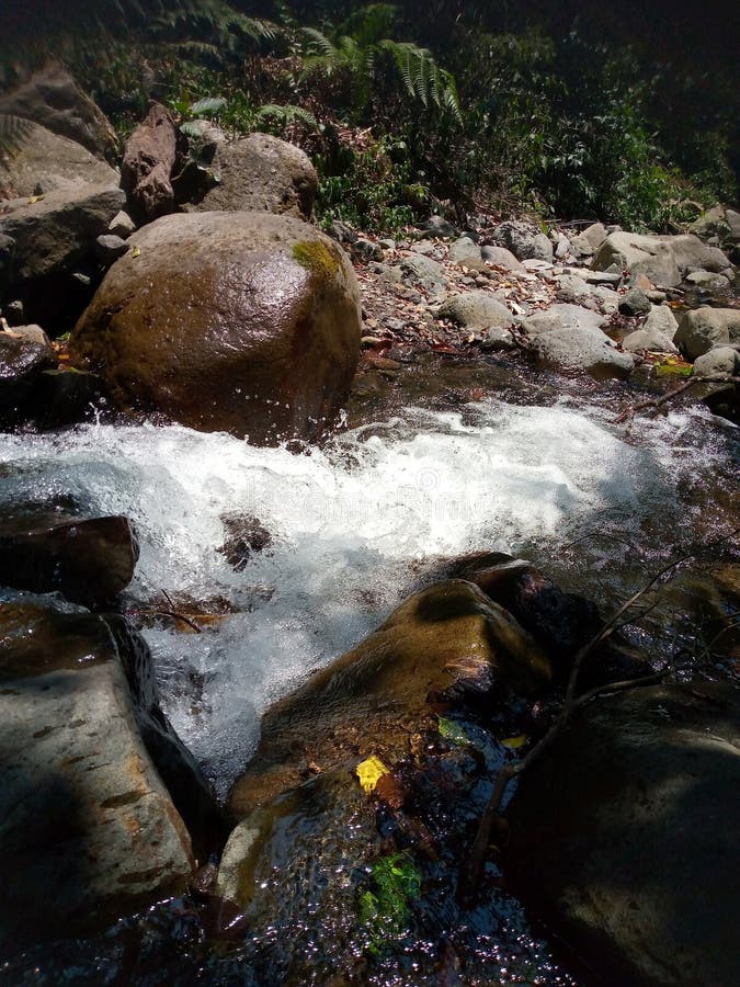 A Photo of Fast-flowing River in a Tropical Forest Stock Image - Image ...