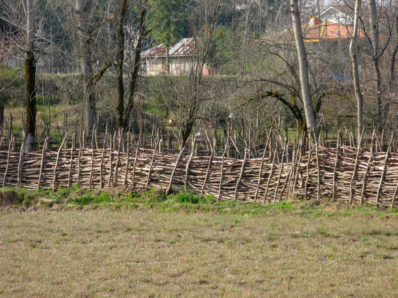 A Photo of Field, Iran, Gilan, Asia Stock Image - Image of outdoor ...